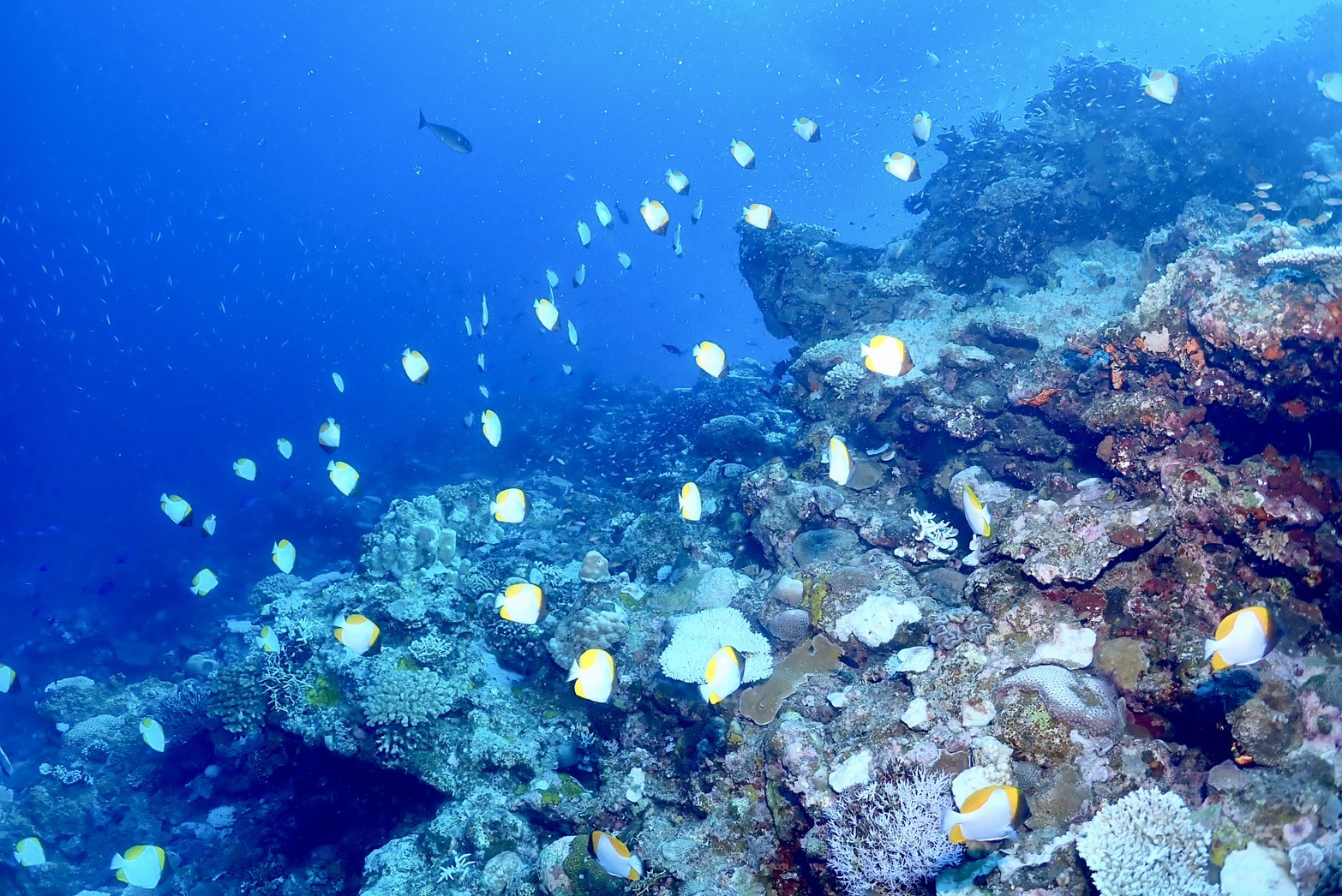 なつやすみ（ゆうた） | うなりざき西表店